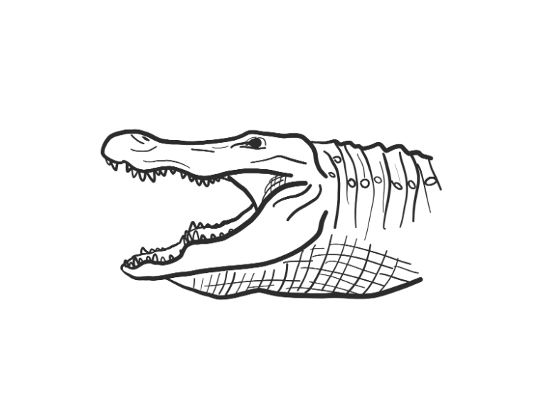Goniopholis Goniopholis